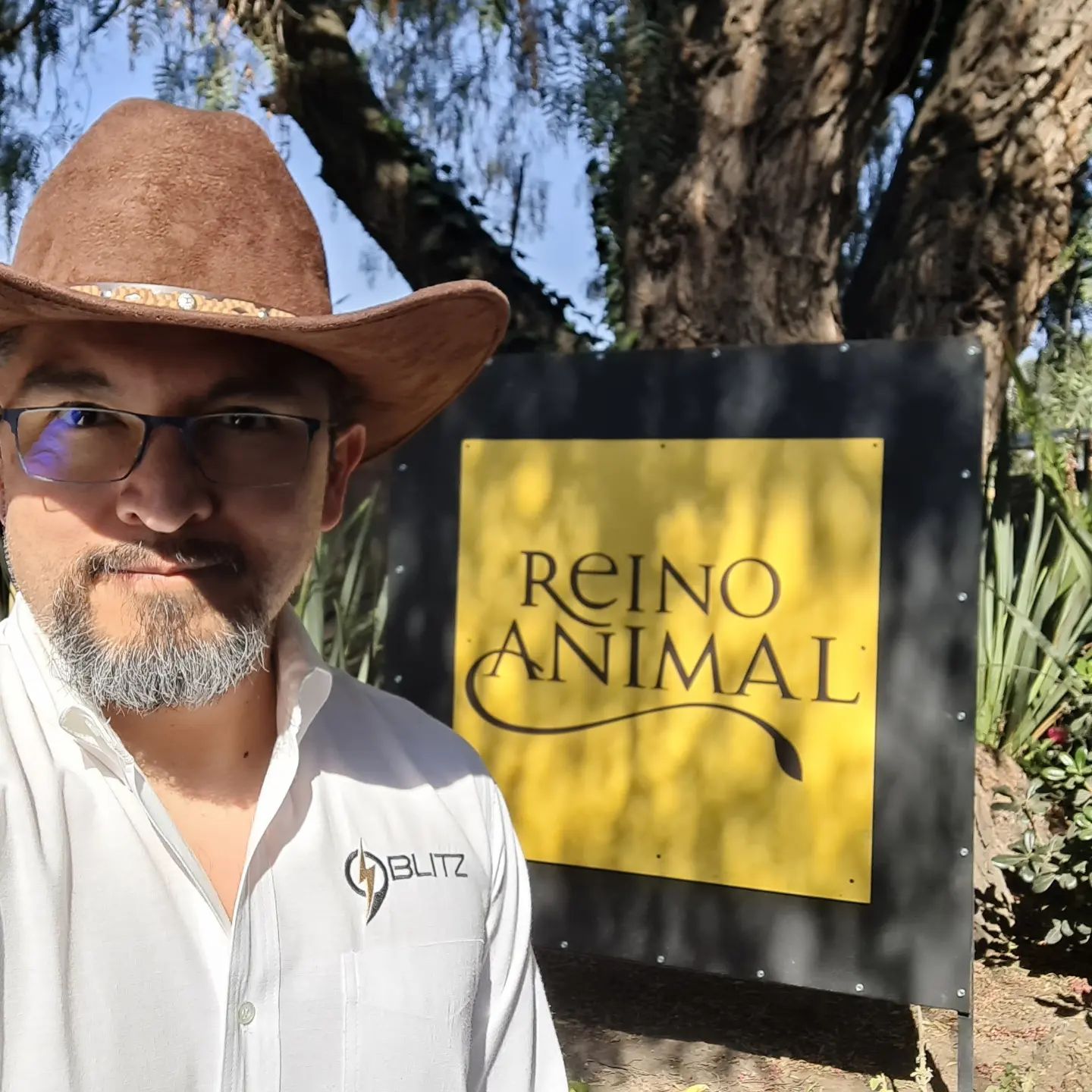 Reino Animal – Blitz